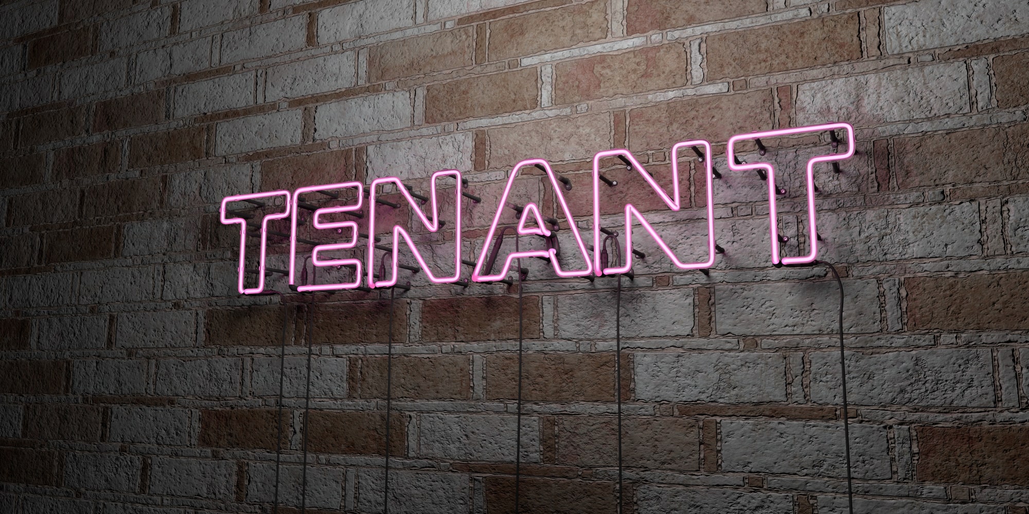 What Needs To Be Included In A Good Tenant Letter 